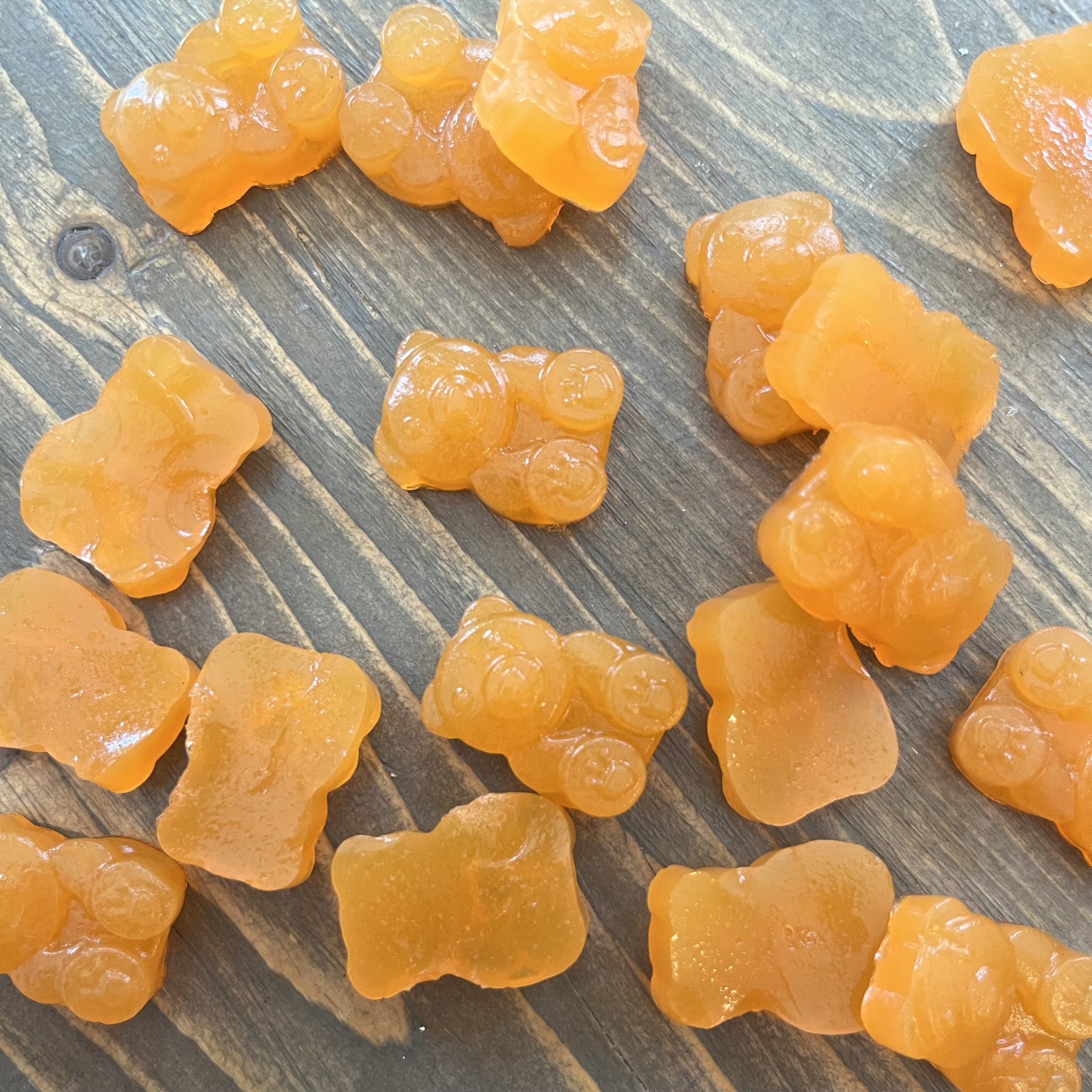 Gut Healing Gummy Snacks (Toddler Approved) - The Gut Healing Ninja
